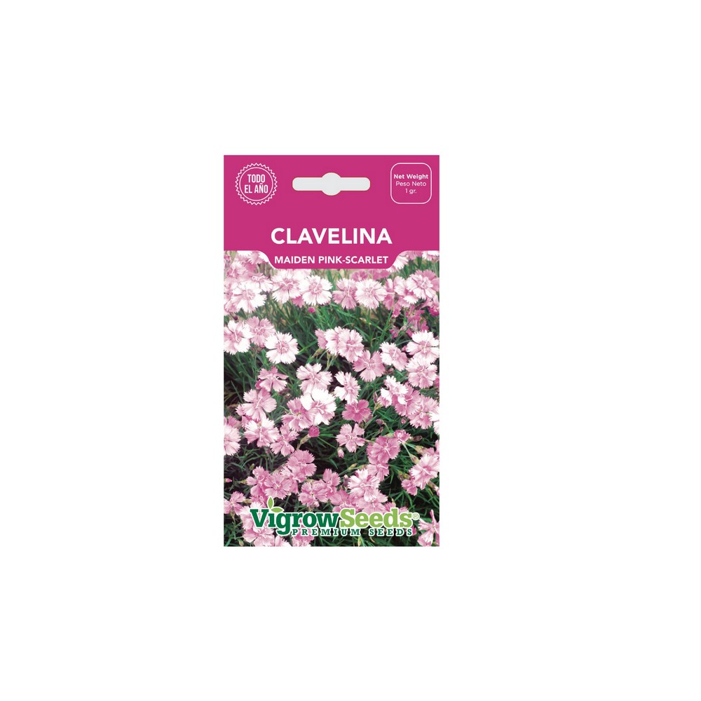 Semilla de clavelina 0.75 gramos - Semillas