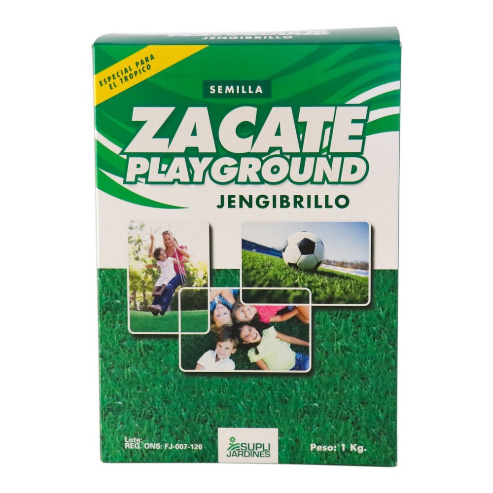 Semilla de zacate para áreas verdes caja 1 kg - Semillas